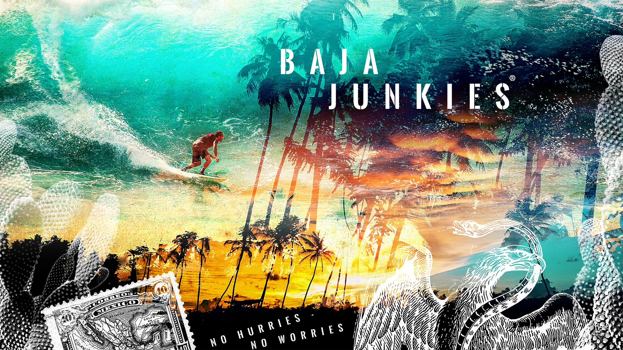 Baja Junkies – BAJAJUNKIES